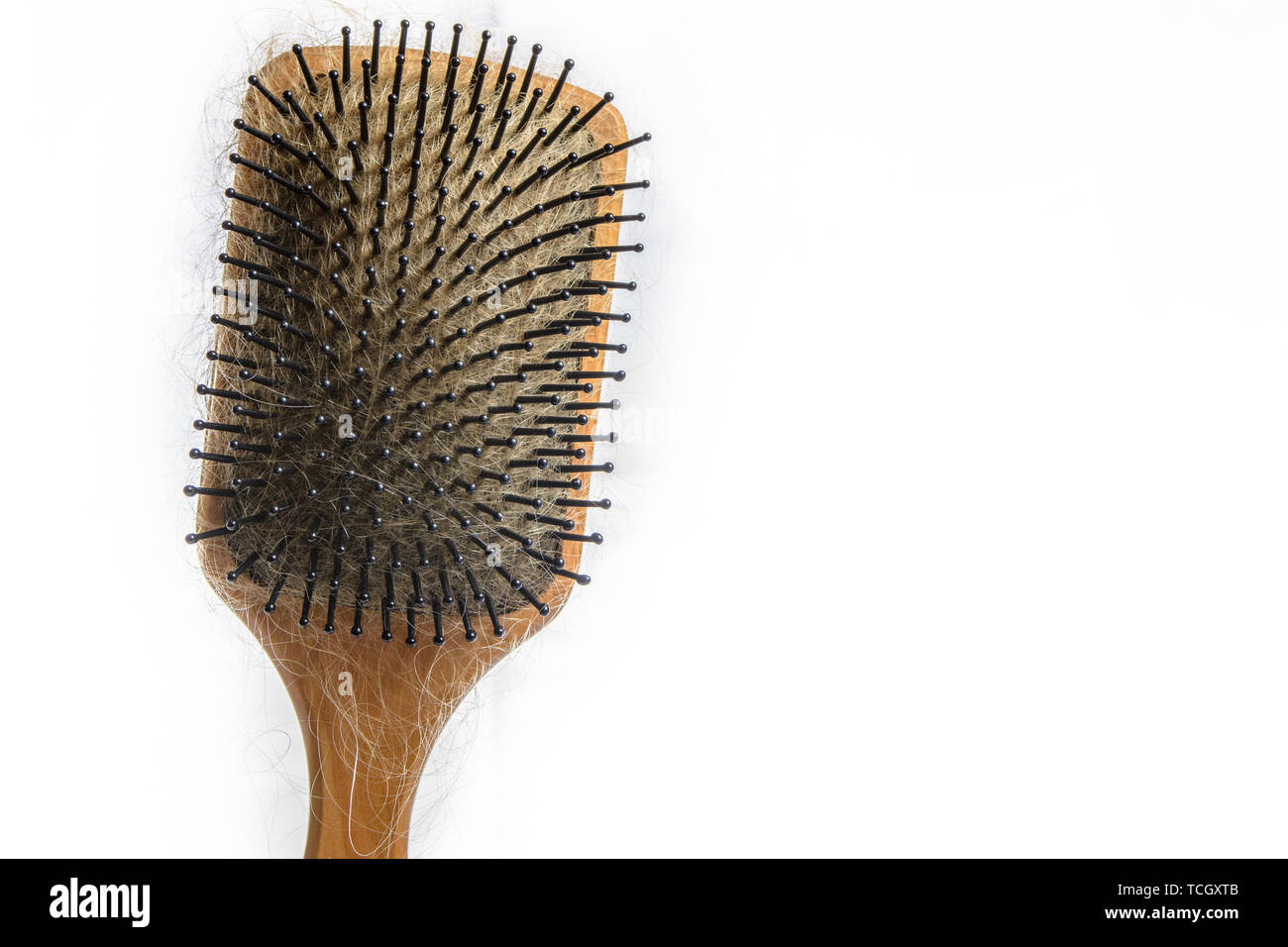 A large hair brush filled with tangled blond hair Stock Photo - Alamy