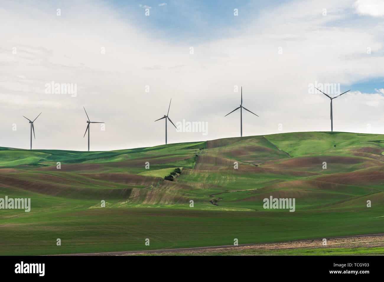 Daytime image of wind turbines in the rolling hills of the Palouse ...