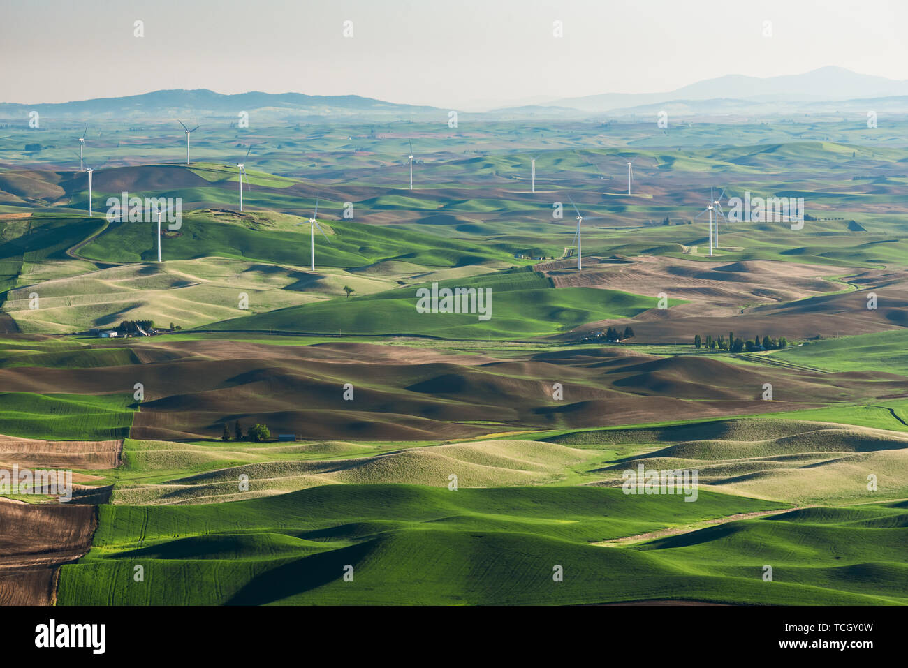 Daytime image of wind turbines in the rolling hills of the Palouse ...