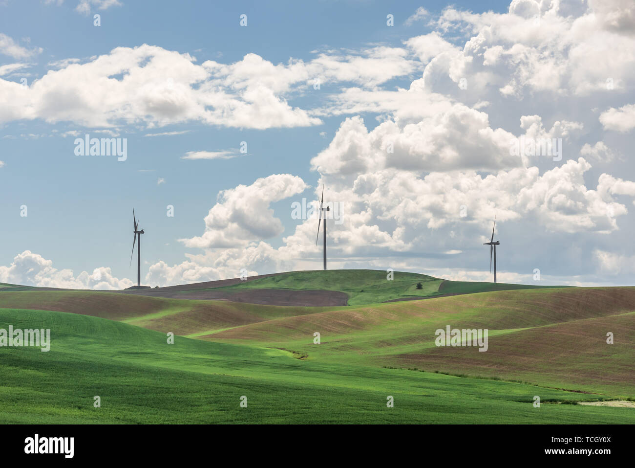 Palouse hills region hi-res stock photography and images - Alamy