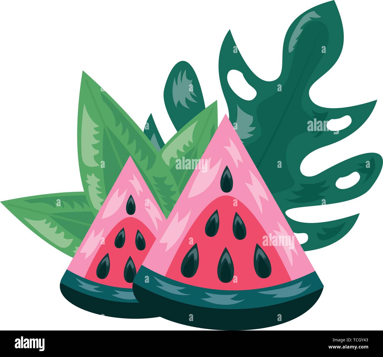 watermelon tropical fruits foliage exotic Stock Vector Image & Art - Alamy