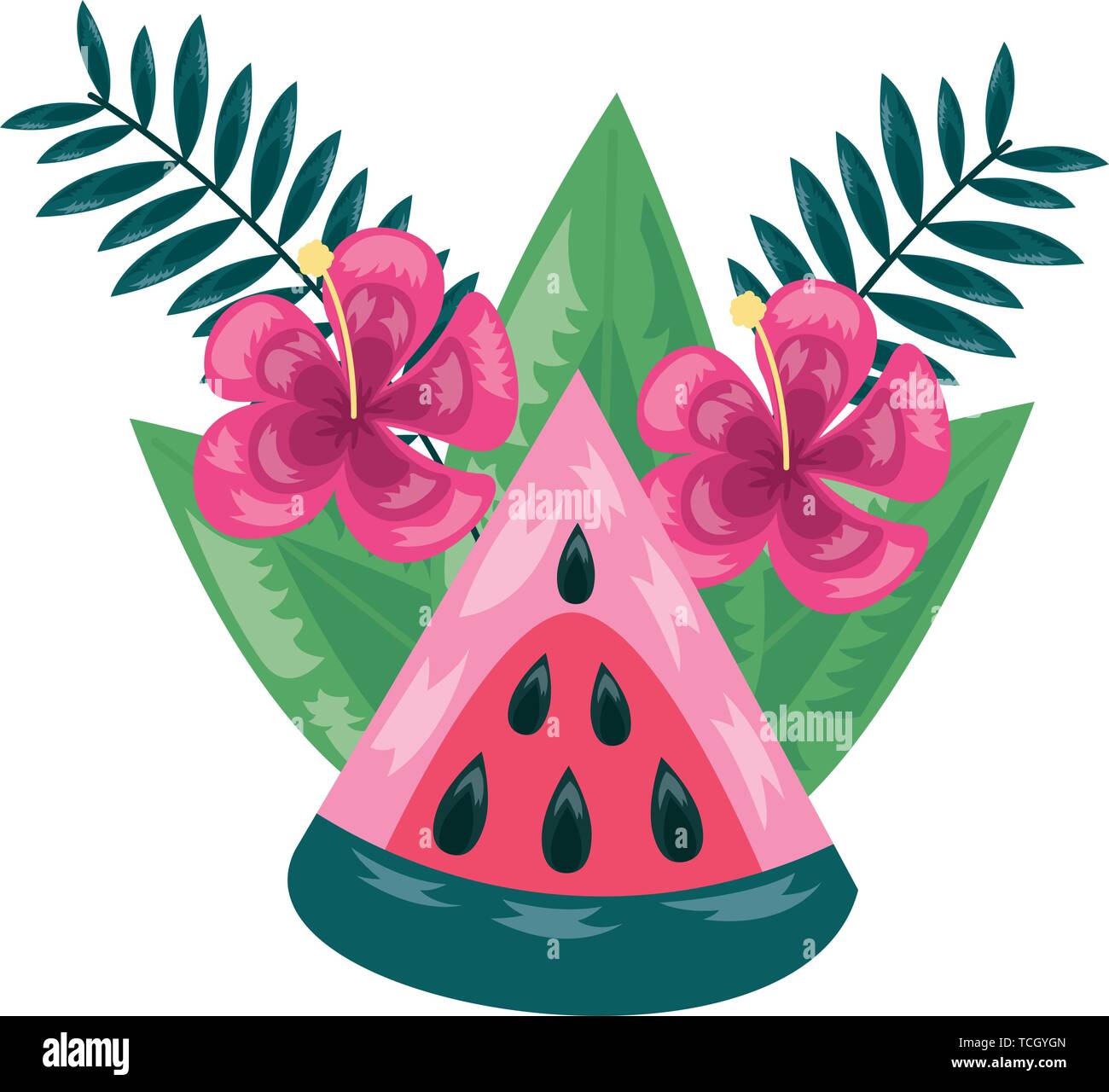 watermelon tropical fruits flower foliage exotic Stock Vector Image ...