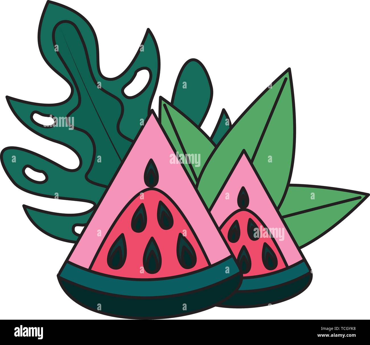 watermelon tropical fruits foliage exotic Stock Vector Image & Art - Alamy