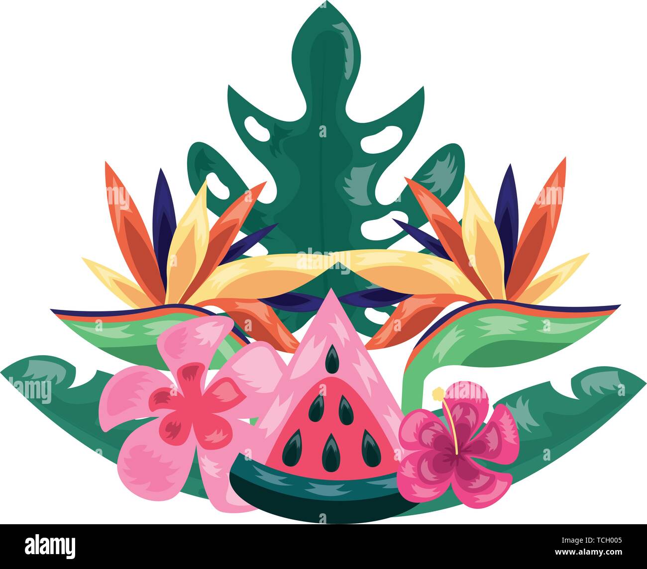 watermelon tropical fruits flower foliage exotic Stock Vector Image ...