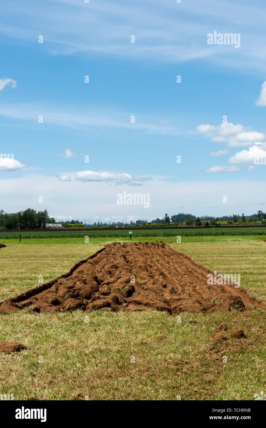 Straight match hi-res stock photography and images - Alamy