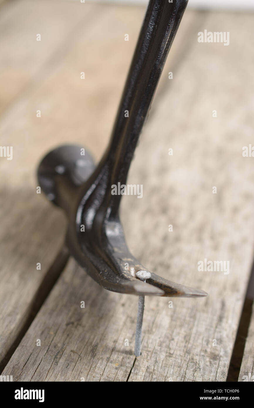 Hammer prying out a nail from a wood plank Stock Photo - Alamy