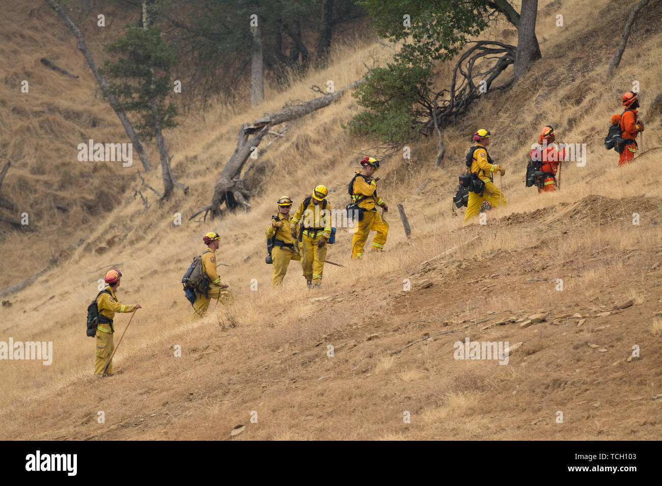 Cal fire fire fighters line up to climb a grassland hill side in lake ...