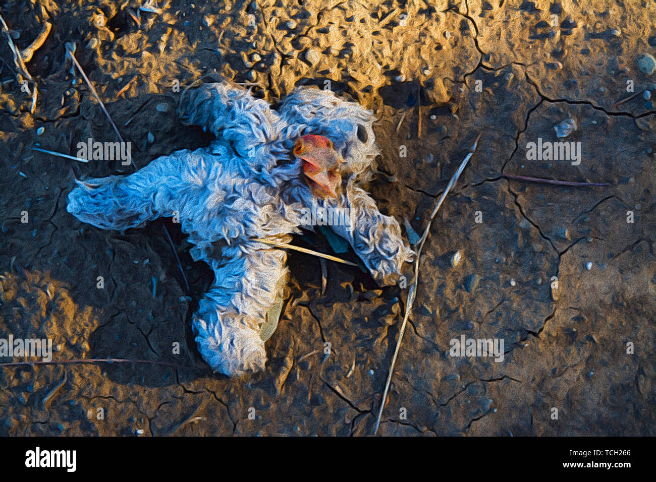 Torn up teddy bear hi-res stock photography and images - Alamy