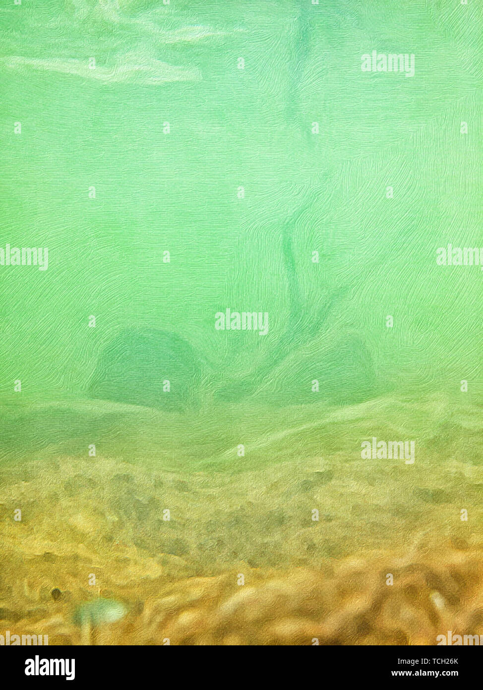 Underwater, sand, riverbed, rocks, shallow, branch Stock Photo - Alamy