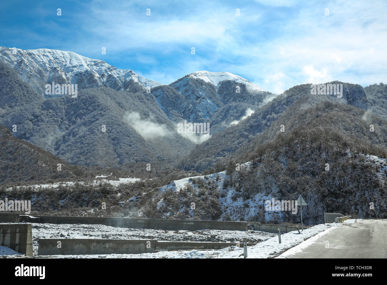 Snow gum trees covered Snowy mountains Azerbaijan during high skiing ...