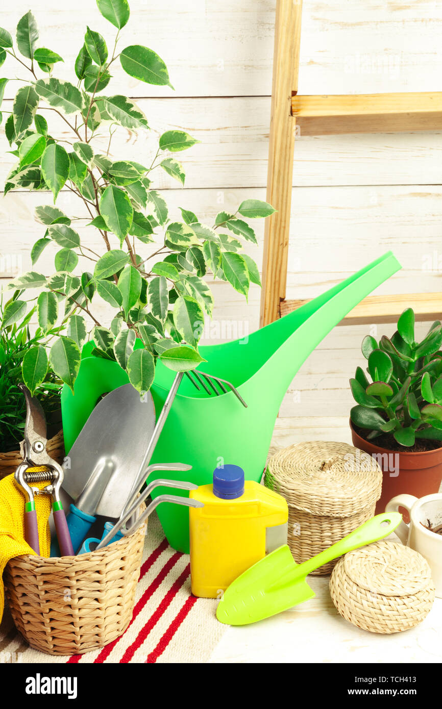 composition of garden tools Stock Photo - Alamy