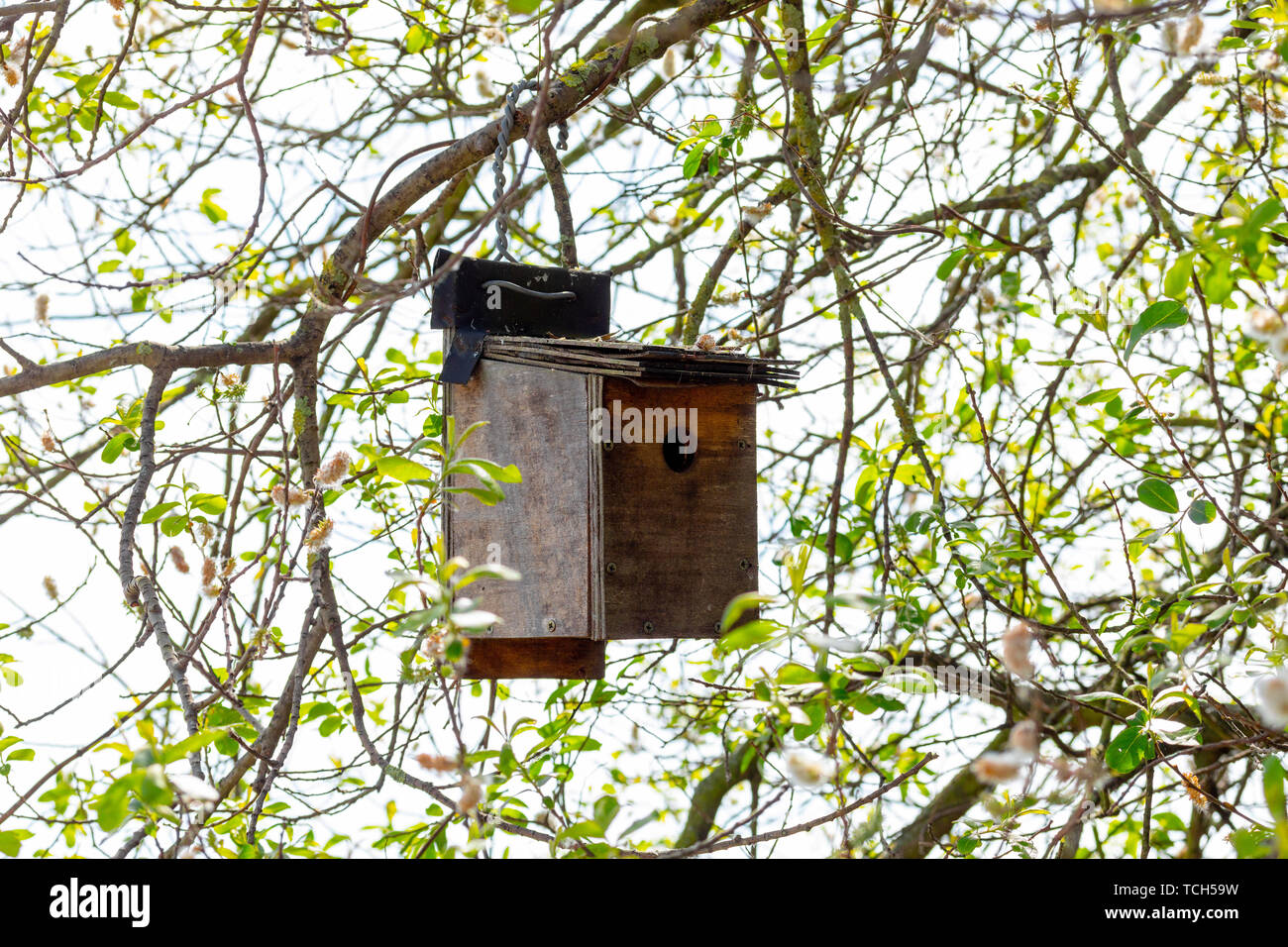 Feeders hut hi-res stock photography and images - Alamy