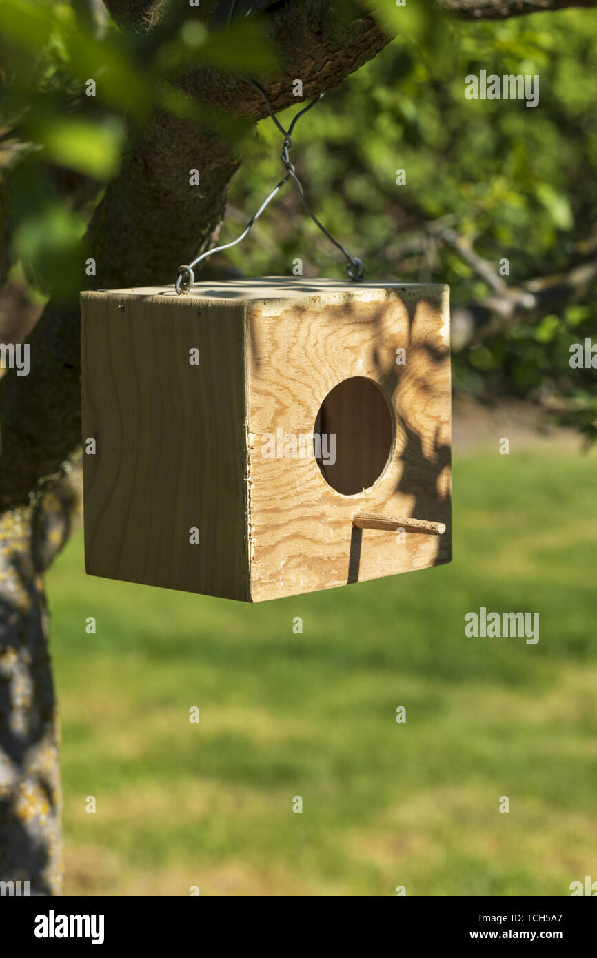 Hut and feeder for wild birds. With food for birds Stock Photo - Alamy