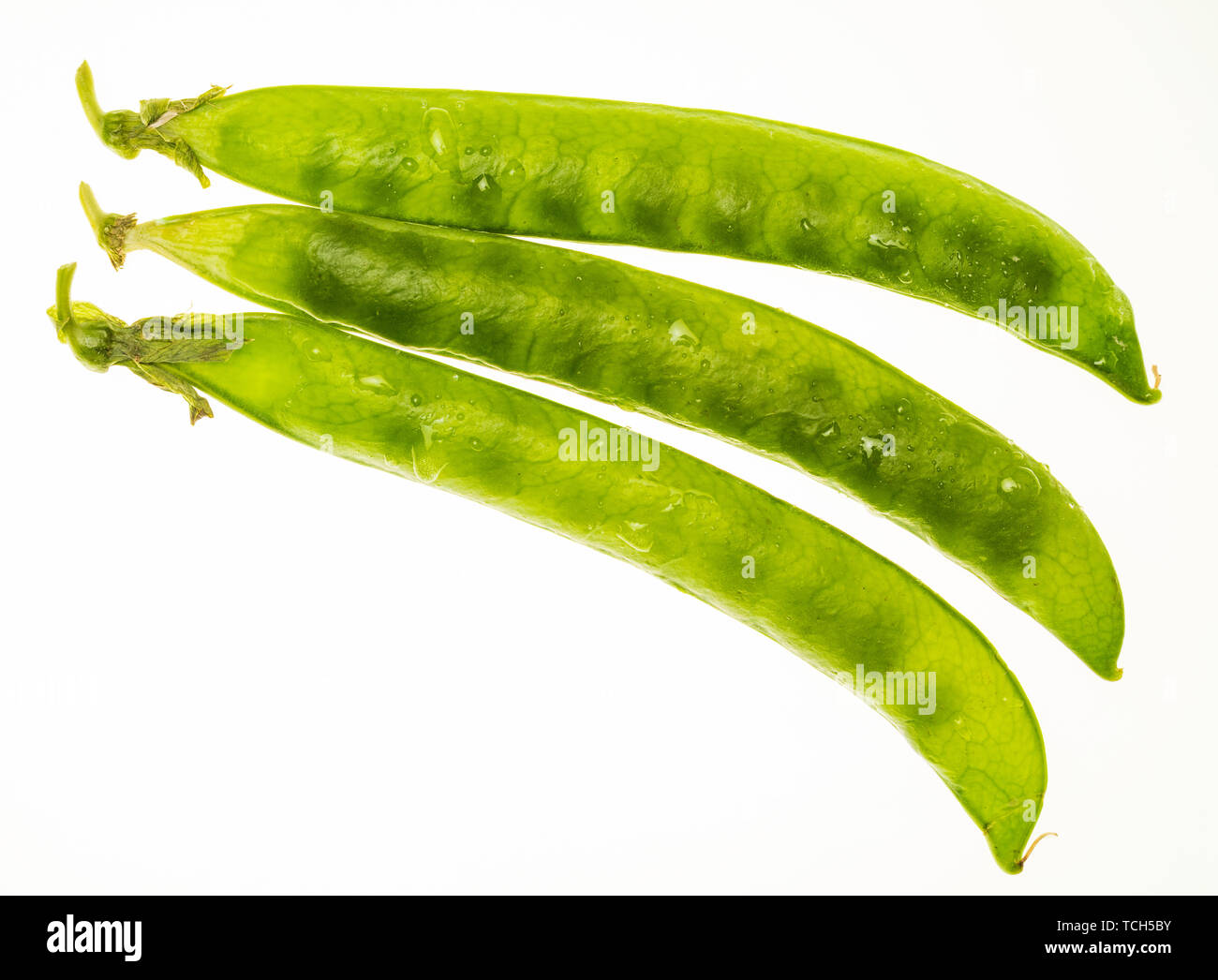 Green peas (chícharos, petipuas), tender and very fresh (with drops of ...