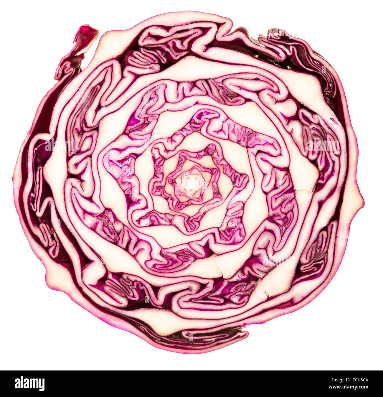 Red cabbage (Brassica oleracea) cutted. Isolated on white background ...