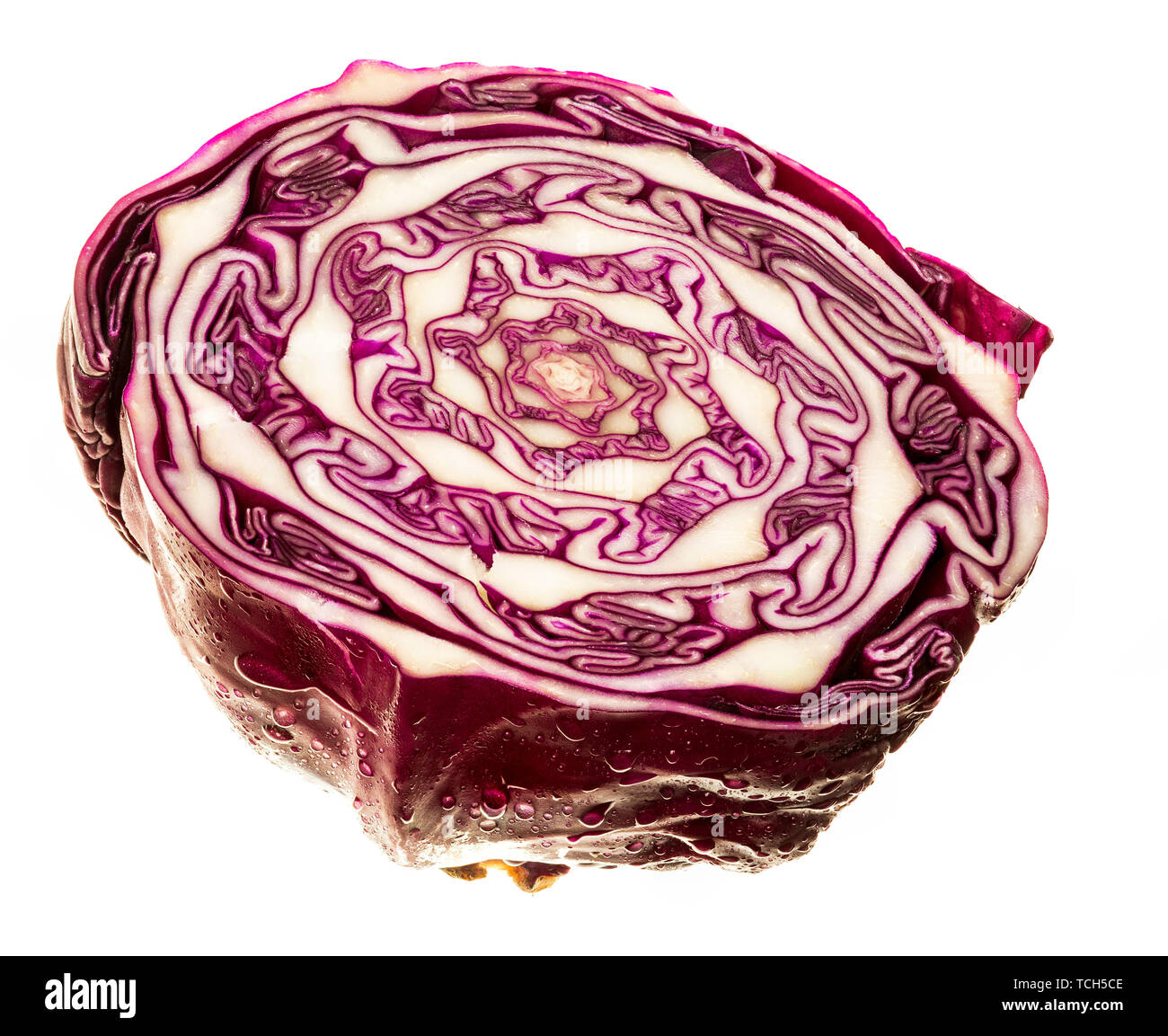 Red cabbage (Brassica oleracea) cutted. Isolated on white background ...