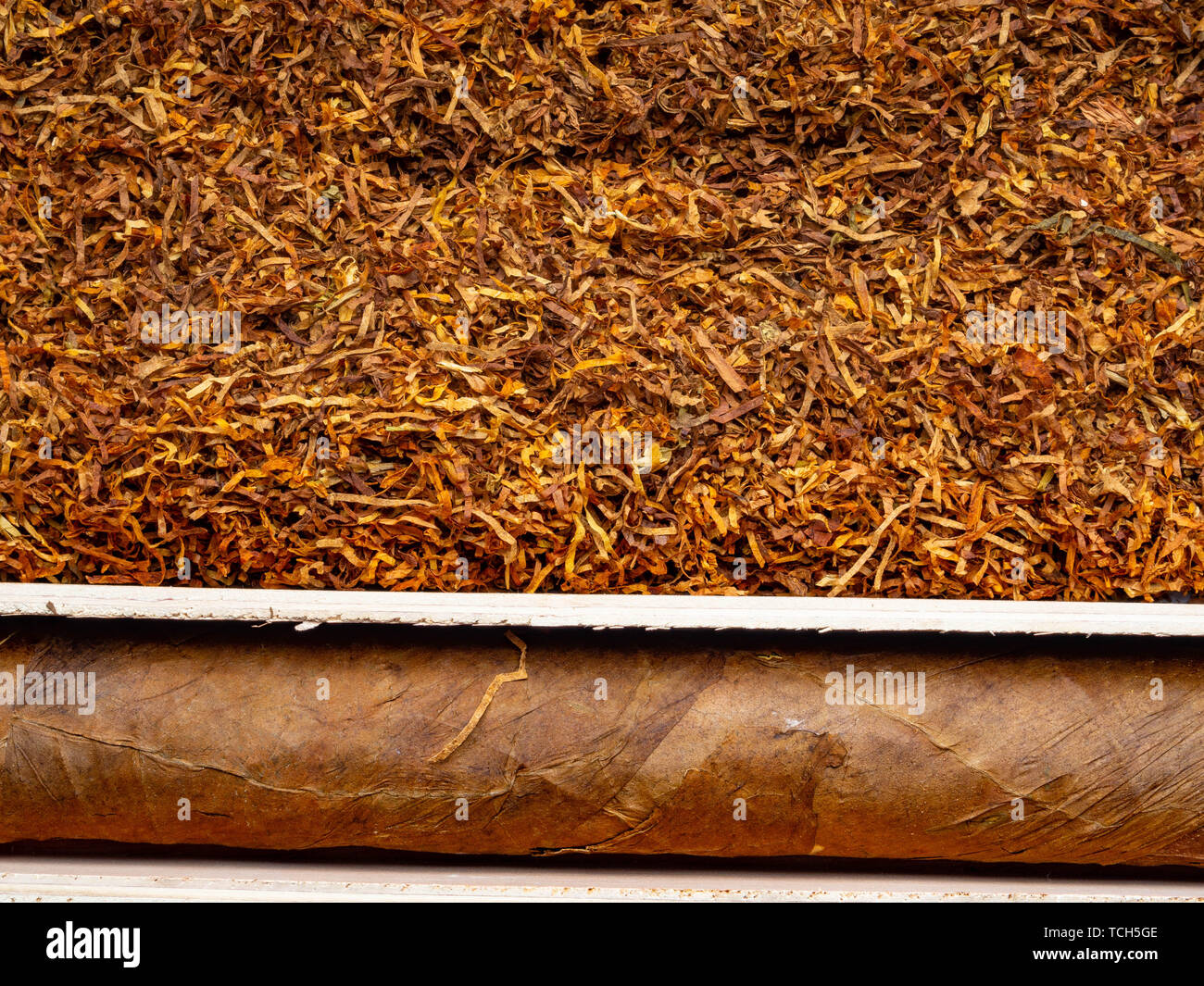 The big cigar on a tobacco background, vintage luxury cigar Stock Photo ...