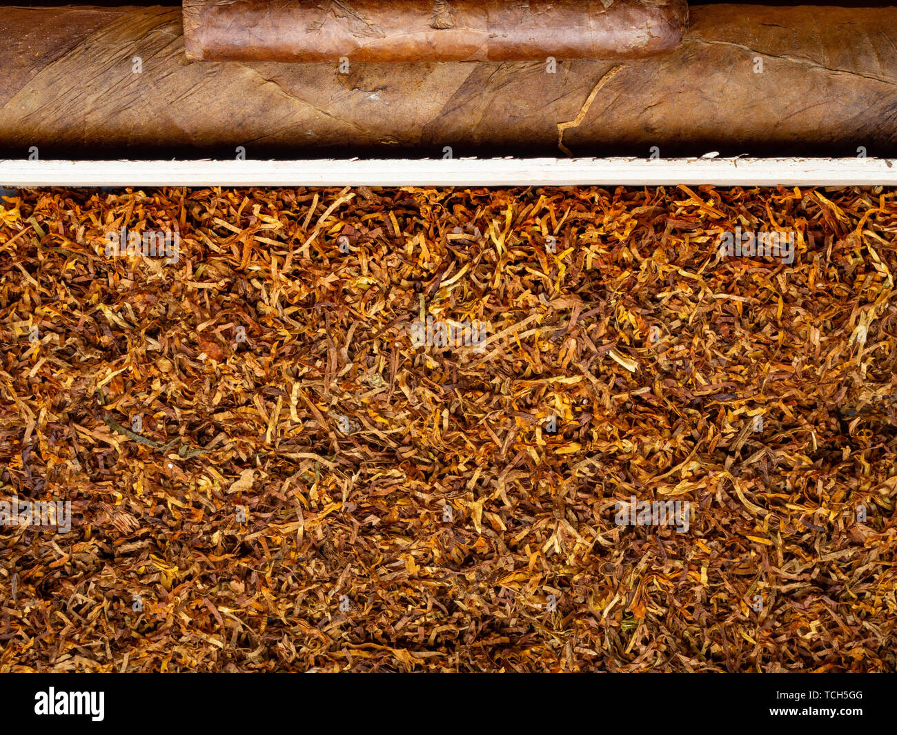 The big cigar on a tobacco background, vintage luxury cigar Stock Photo ...