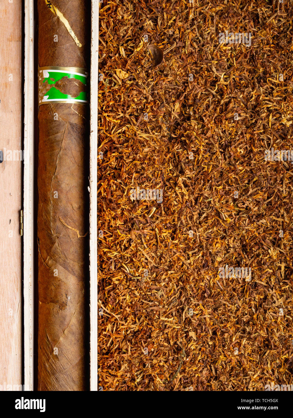 The big cigar on a tobacco background, vintage luxury cigar Stock Photo ...