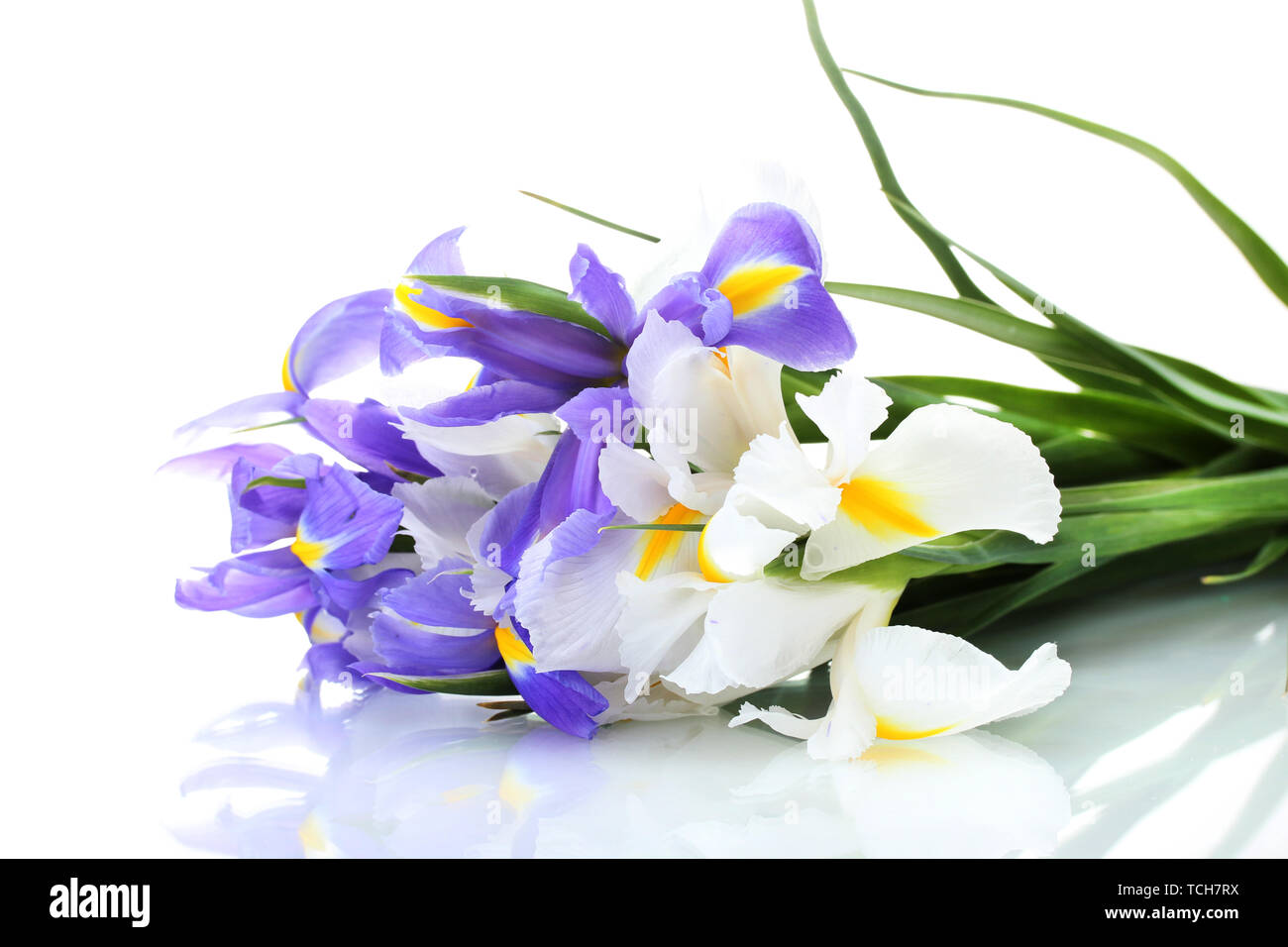 Beautiful bright irises isolated on white Stock Photo - Alamy