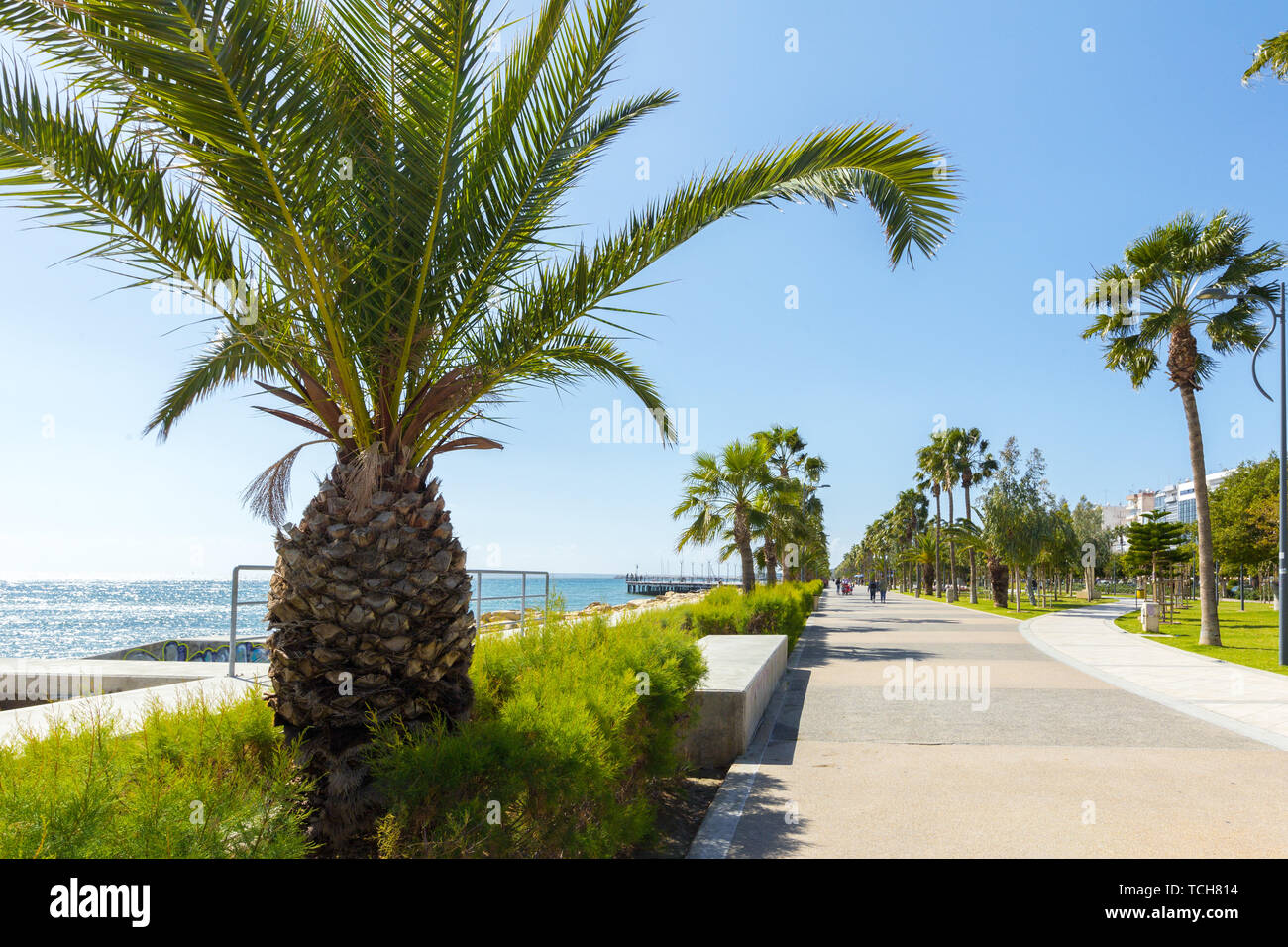 Walk way embankment along the sea side Stock Photo - Alamy
