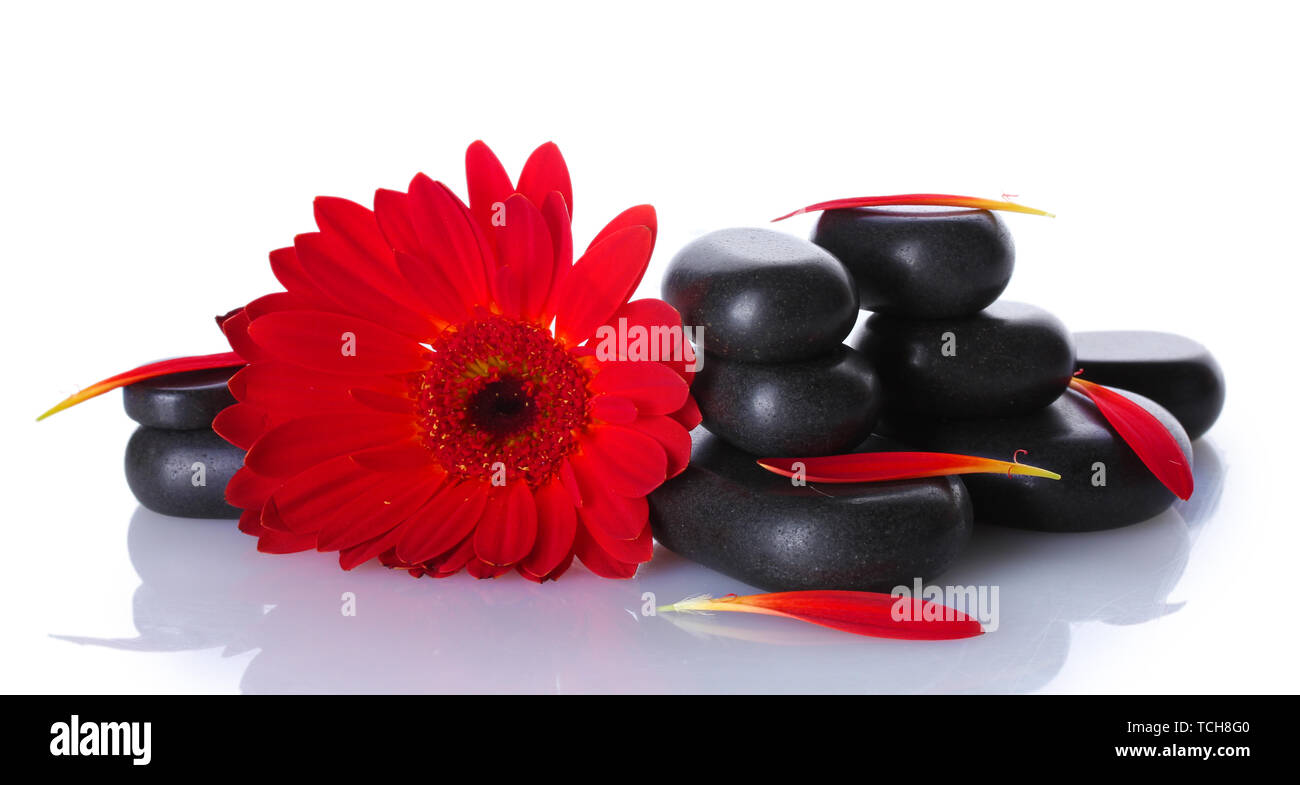Spa stones, red flower and petals isolated on white Stock Photo - Alamy