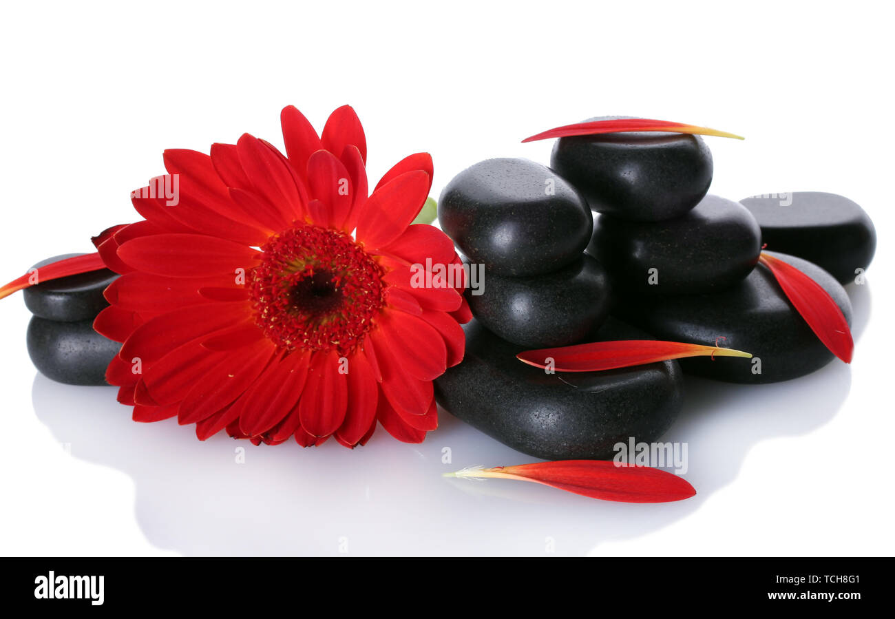 Spa stones, red flower and petals isolated on white Stock Photo - Alamy