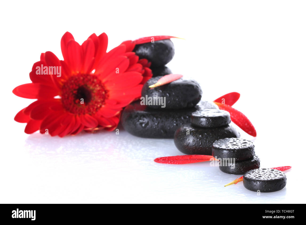 Spa stones with drops, red flower and petals isolated on white Stock ...