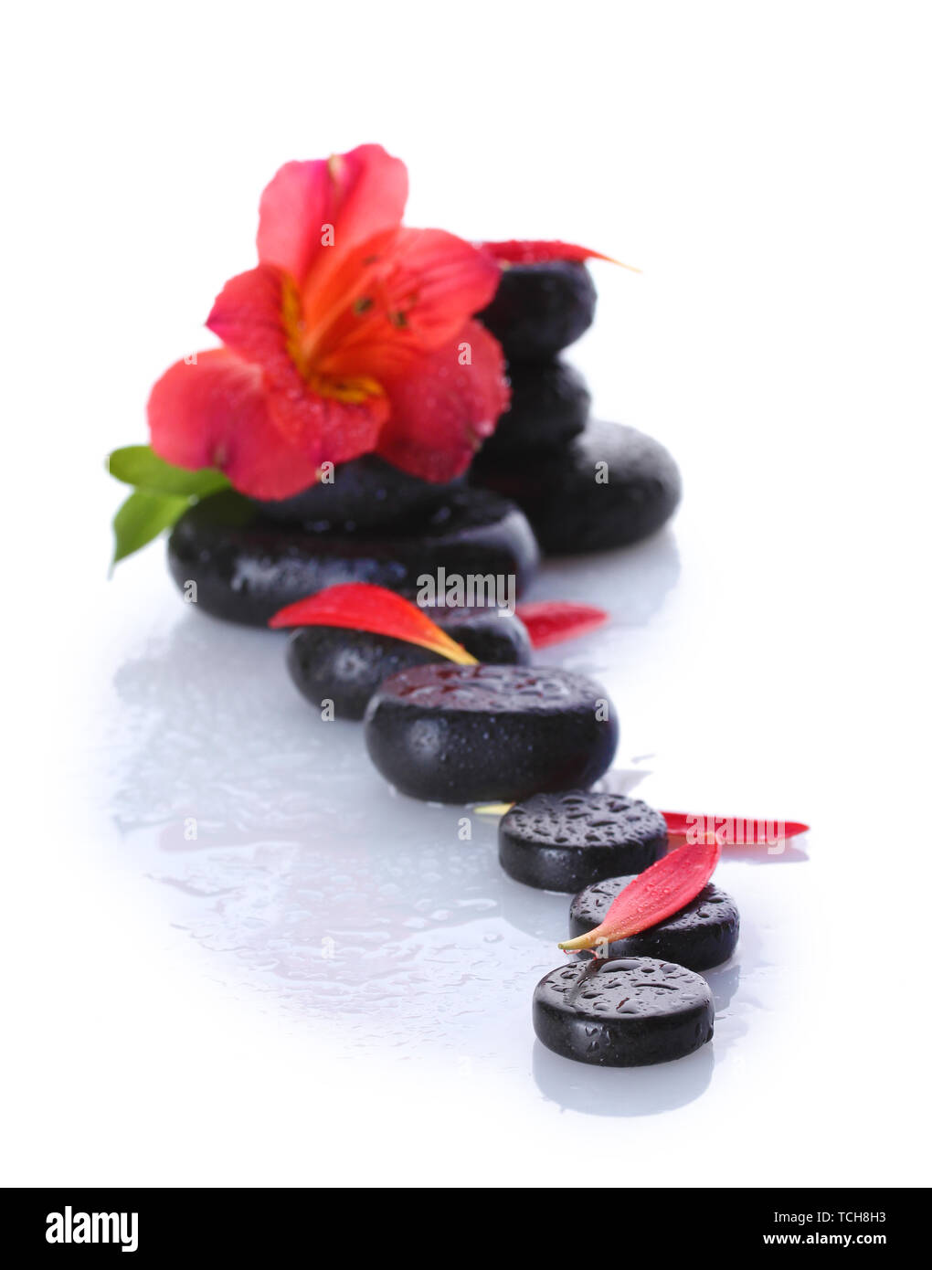 Spa stones with drops, red flower and petals isolated on white Stock ...