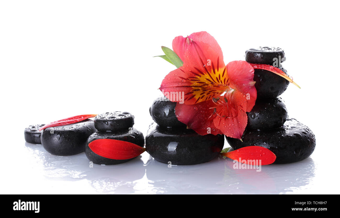 Spa stones with drops, red flower and petals isolated on white Stock ...