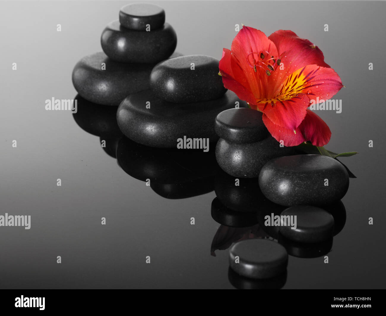 Spa stones and red flower on grey background Stock Photo - Alamy