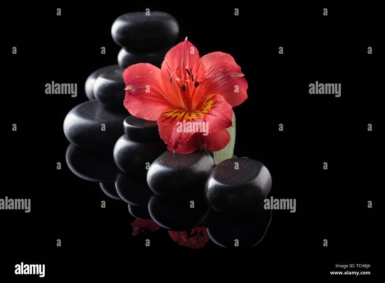 Spa stones and red flower on black background Stock Photo - Alamy