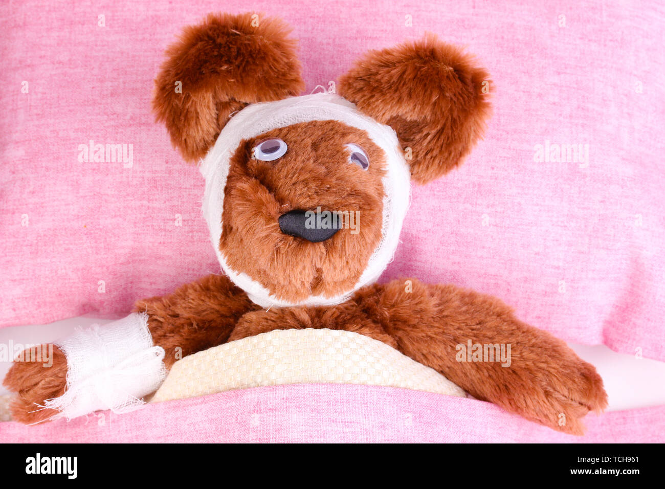 Sick bear in bed Stock Photo - Alamy