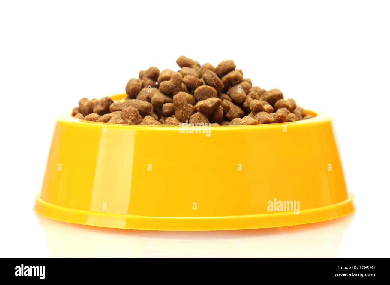 dry cat food in yellow bowl isolated on white Stock Photo - Alamy