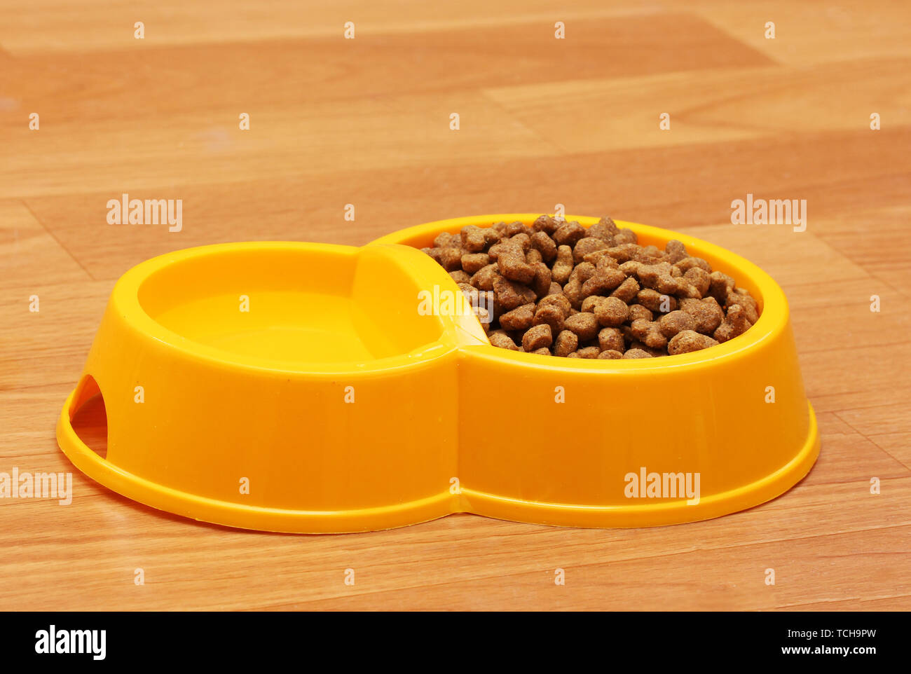 dry cat food and water in yellow bowl on the floor Stock Photo - Alamy