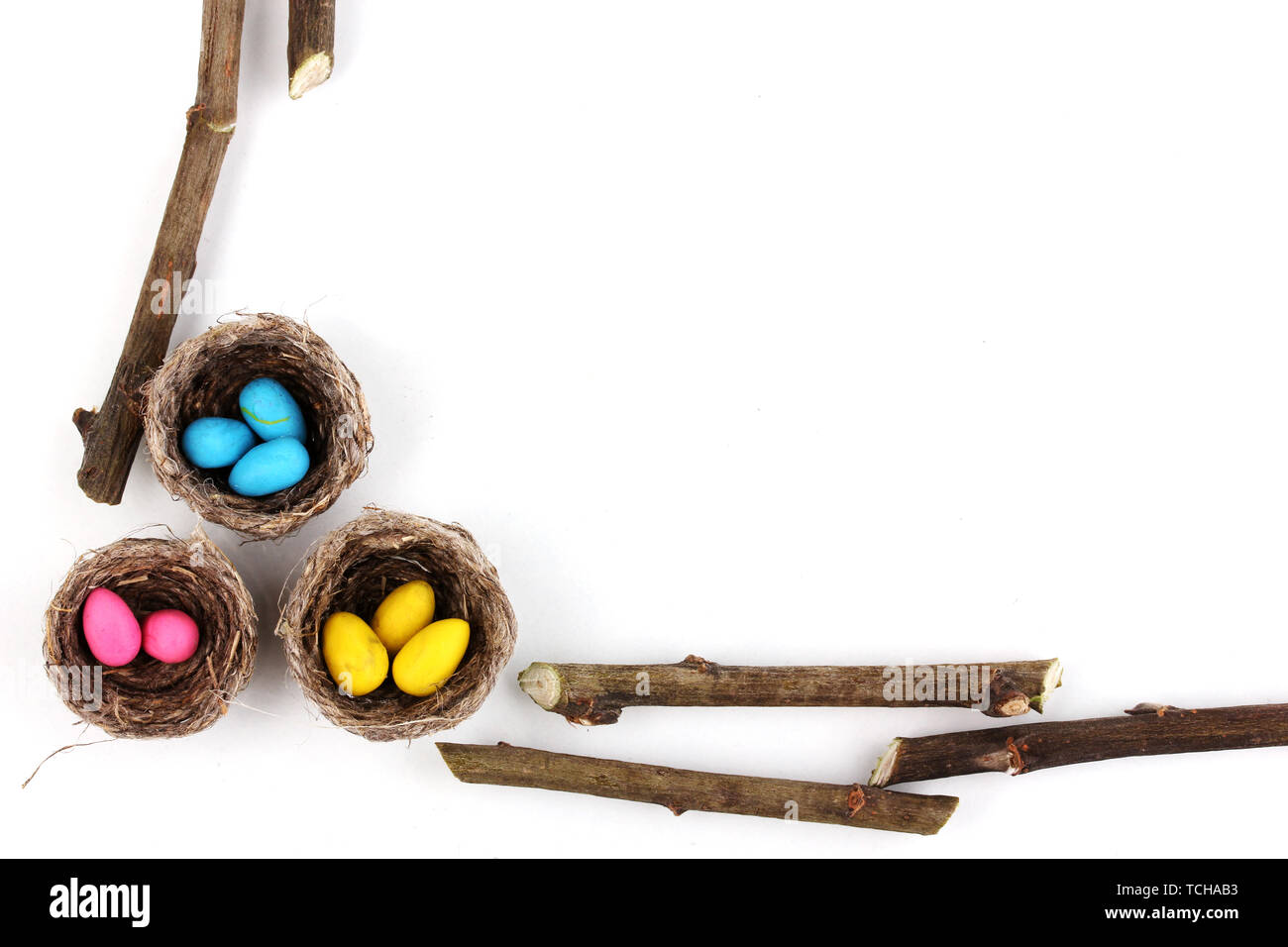 Different birds in tree nests hi-res stock photography and images - Alamy