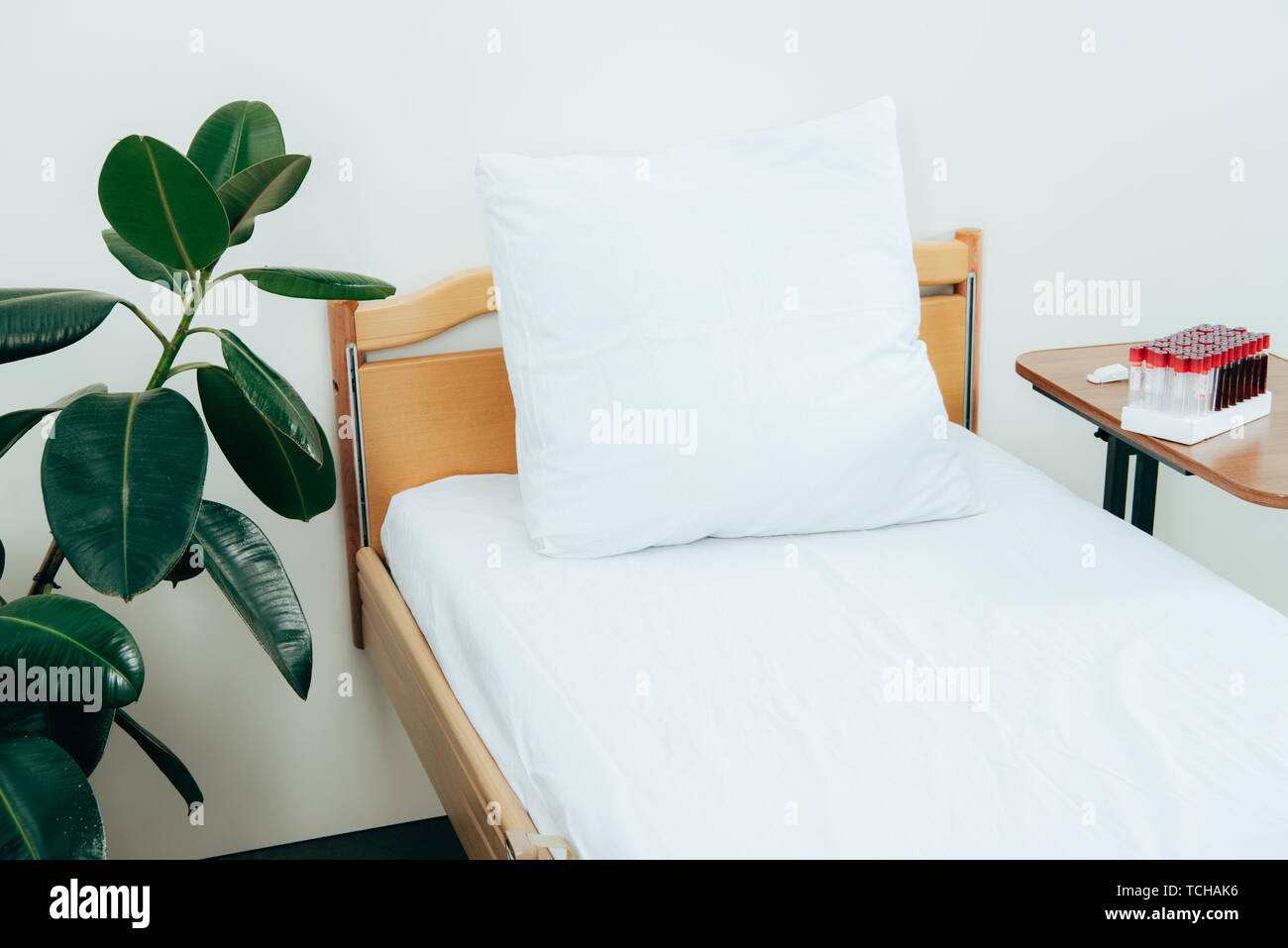 bed with pillow, green plant and blood test tubes in hospital ward ...