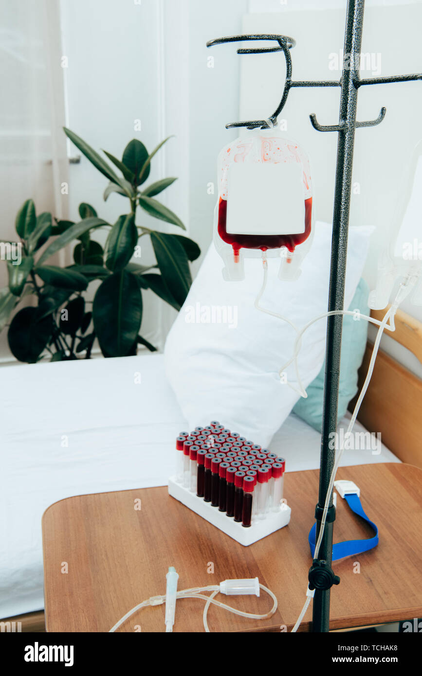 bed with pillow, green plant, packed cells and blood test tubes in ...