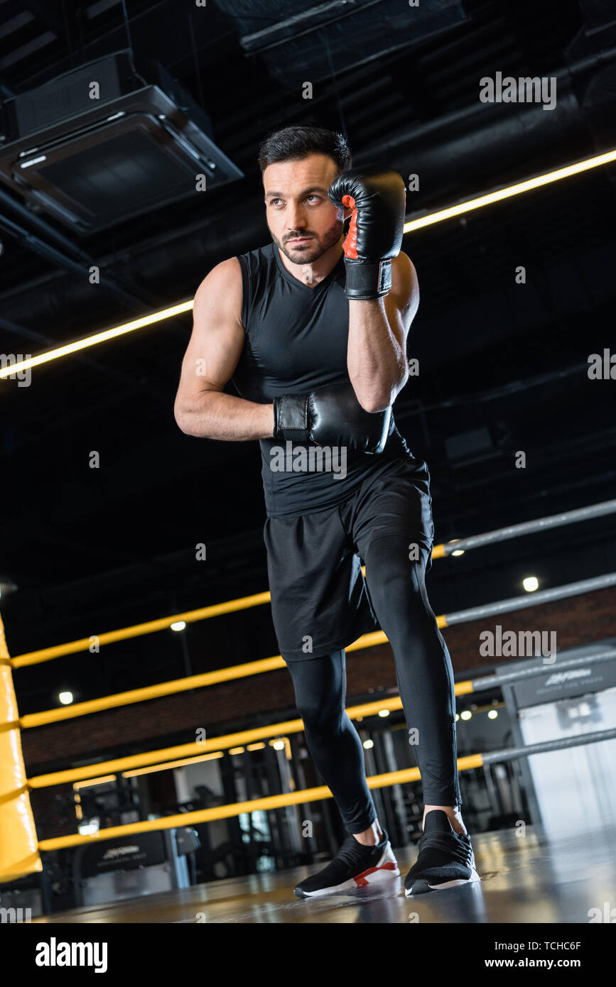 low angle view of handsome man standing in boxing gloves in gym Stock ...