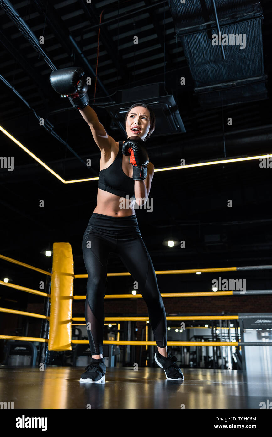 low angle view of confident woman boxing while standing in boxing ...