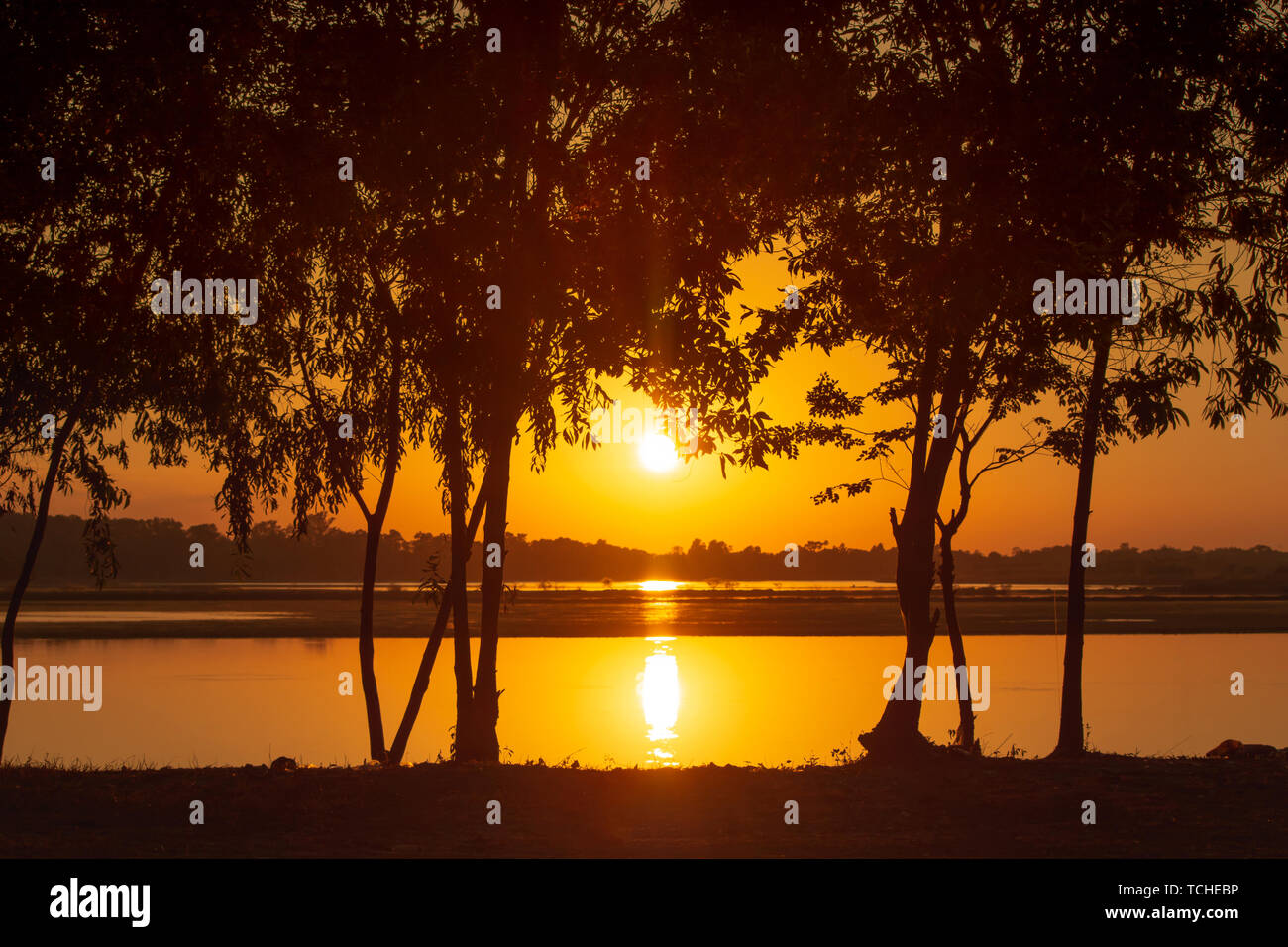 Sunset light rays piercing through the trees on the lake Stock Photo ...