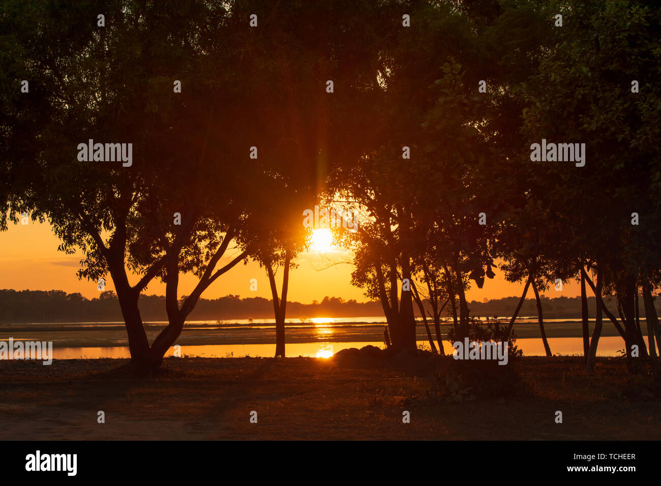 Sunset light rays piercing through the trees on the lake Stock Photo ...