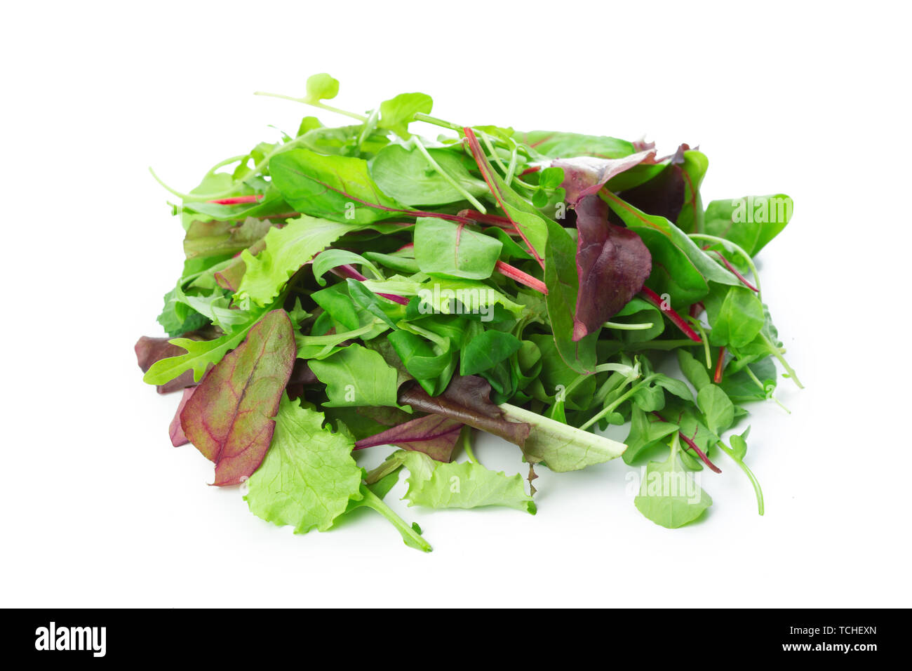 Greenery close up isolated on white background Stock Photo - Alamy