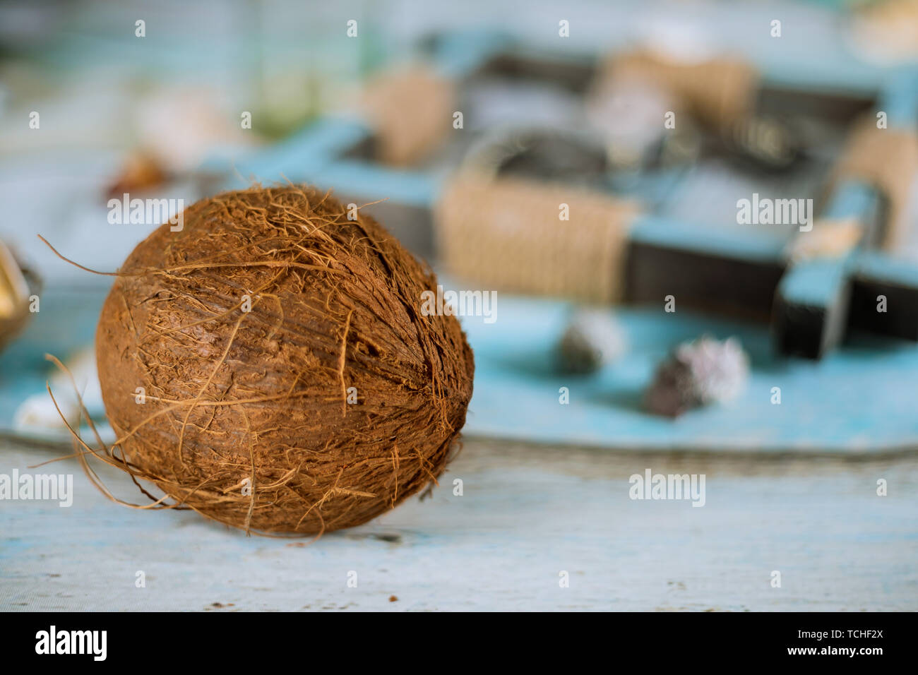 Summer composition coconut, sea shells on pastel old wooden blue plank ...