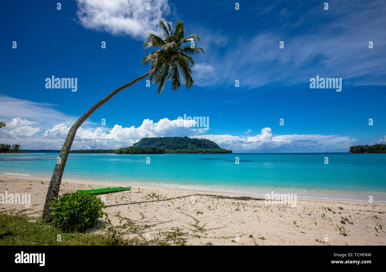 Amazing Port Orly sandy beach with palm trees, Espiritu Santo Island ...