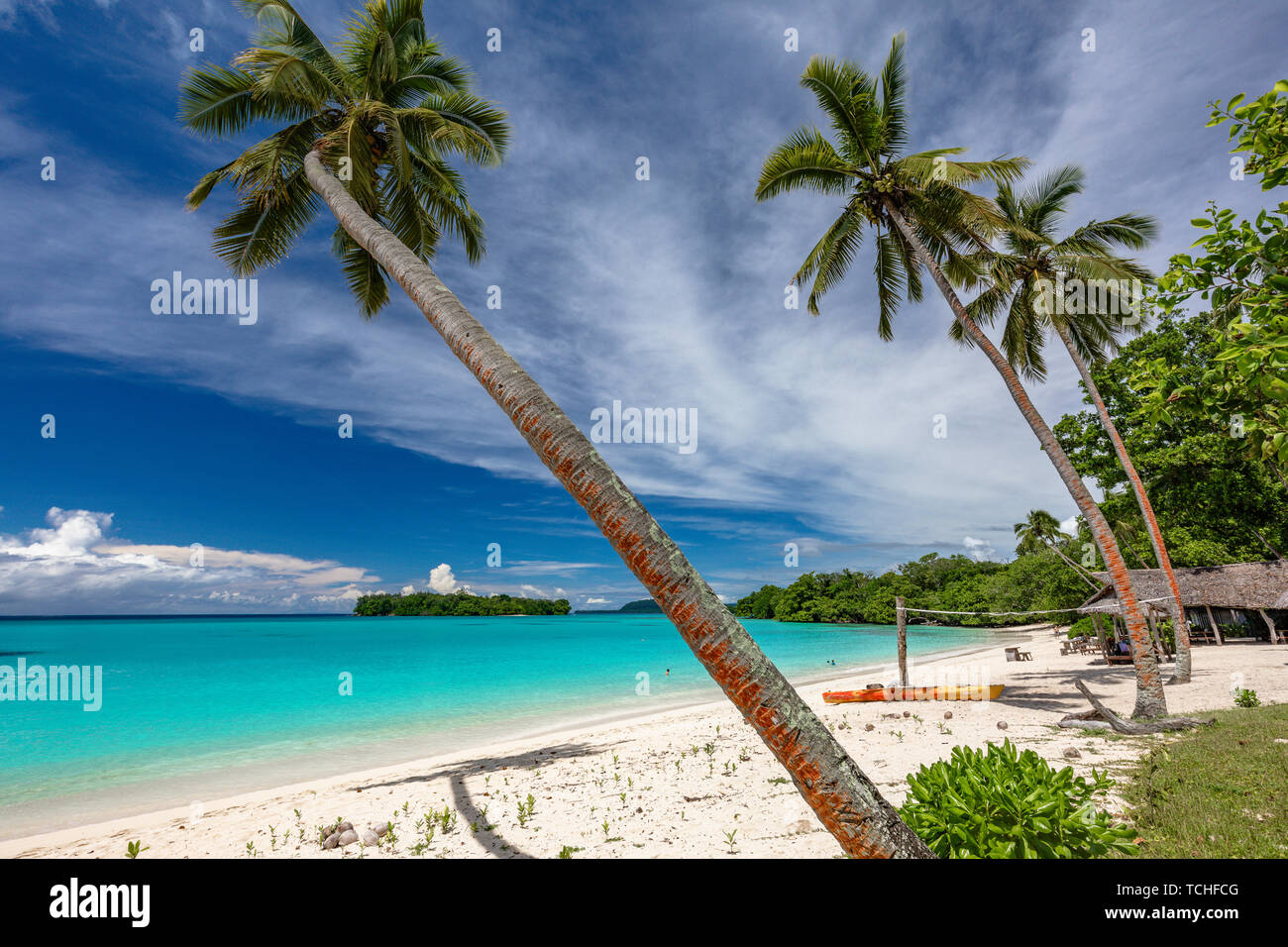 Amazing Port Orly sandy beach with palm trees, Espiritu Santo Island ...