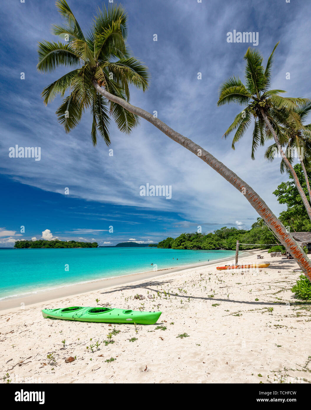Amazing Port Orly sandy beach with palm trees, Espiritu Santo Island ...
