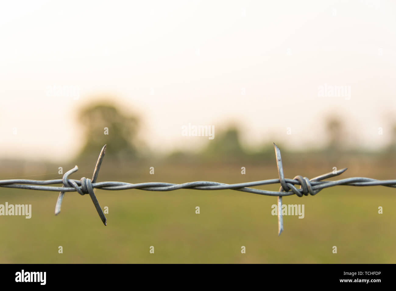 Silhouette Bird Barbed Wire High Resolution Stock Photography and ...