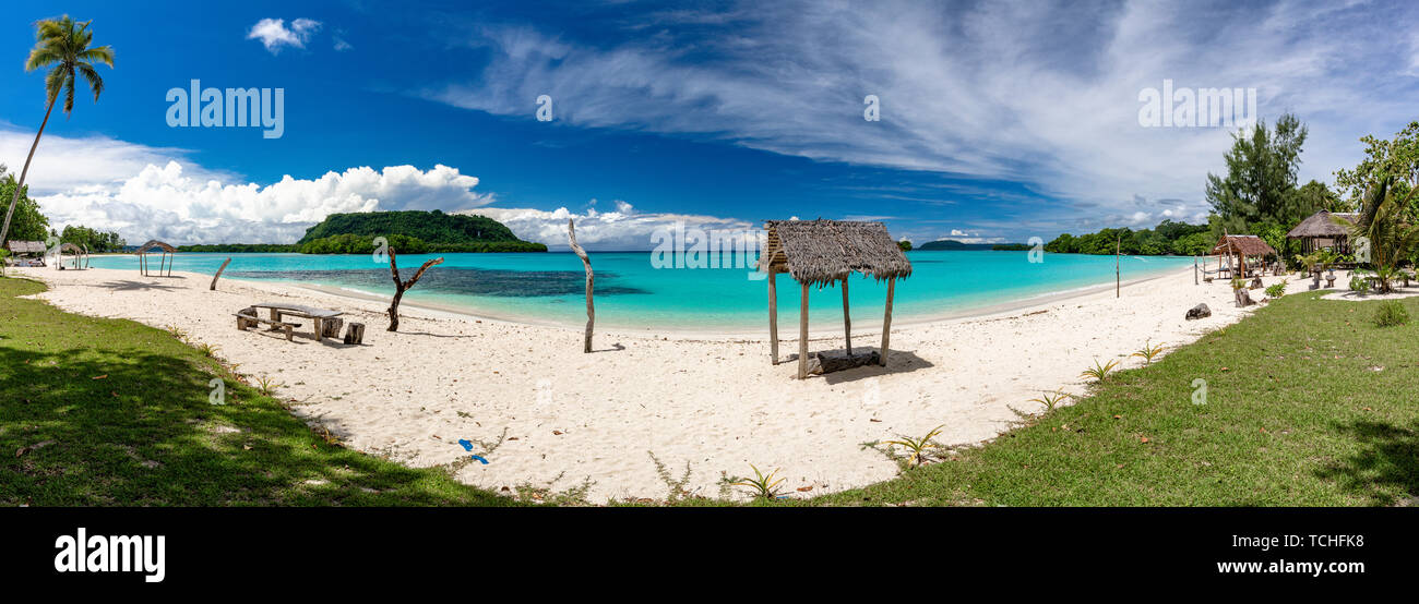 Amazing Port Orly sandy beach with palm trees, Espiritu Santo Island ...