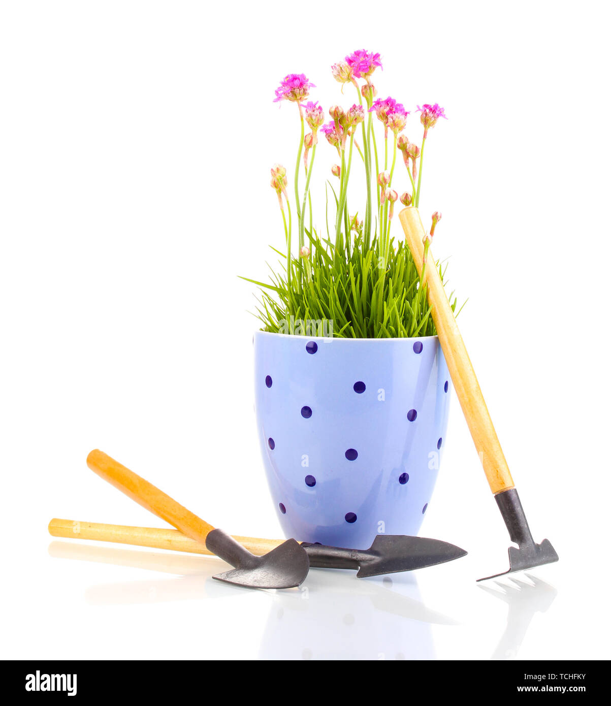 Aster instrument hi-res stock photography and images - Alamy